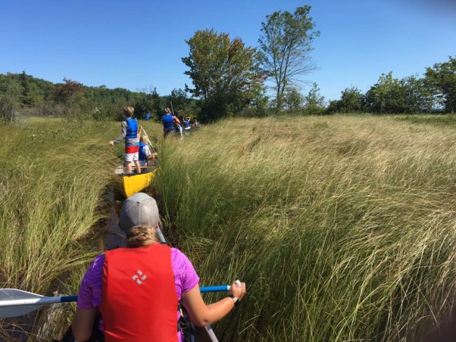 Extension Bayfield County