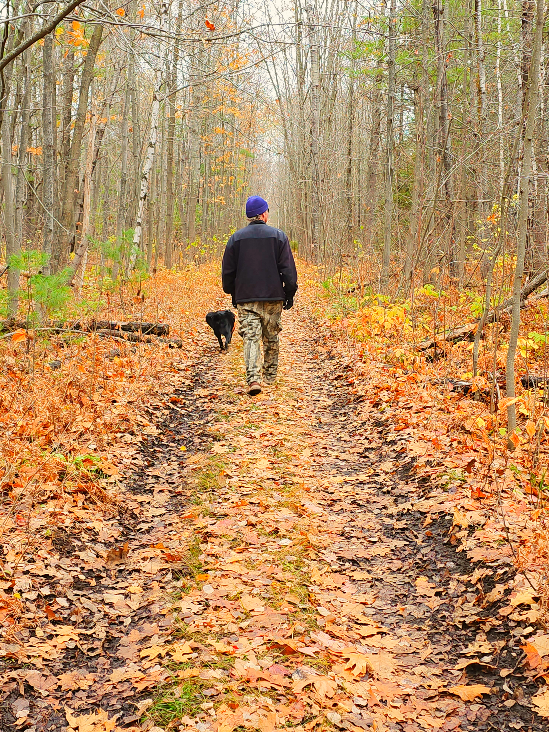Living Well in Our Best Years – Extension Bayfield County